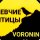 Иконка канала Певчие птицы Виктор Воронин