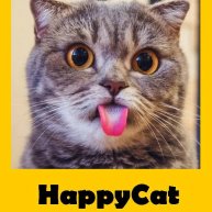 Mr. HappyCat Аватар автора