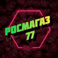 РосМагаз77 Аватар автора