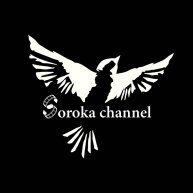 Soroka Channel Аватар автора