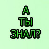 А ты знал? Аватар автора