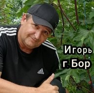 Игорь  Бор Аватар автора
