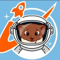 ТИЦ Амурской области Аватар автора