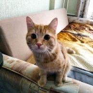Евгений Аватар автора