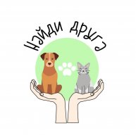Найди друга на ТВЦ Аватар автора