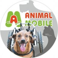 Animal Mobile Аватар автора