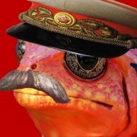 (Не)Казуал Аватар автора
