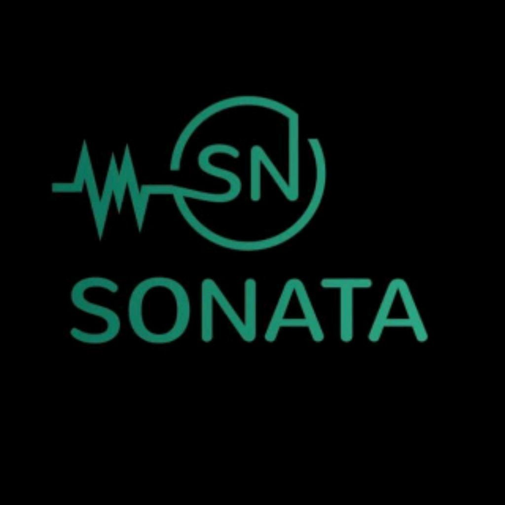 Sonata Music School Аватар автора