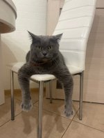 Sergo_go Аватар автора