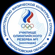 ГАПОУ СО  Аватар автора