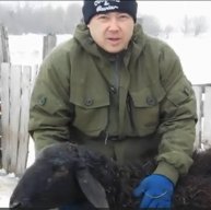 Тамбовский Фермер Аватар автора