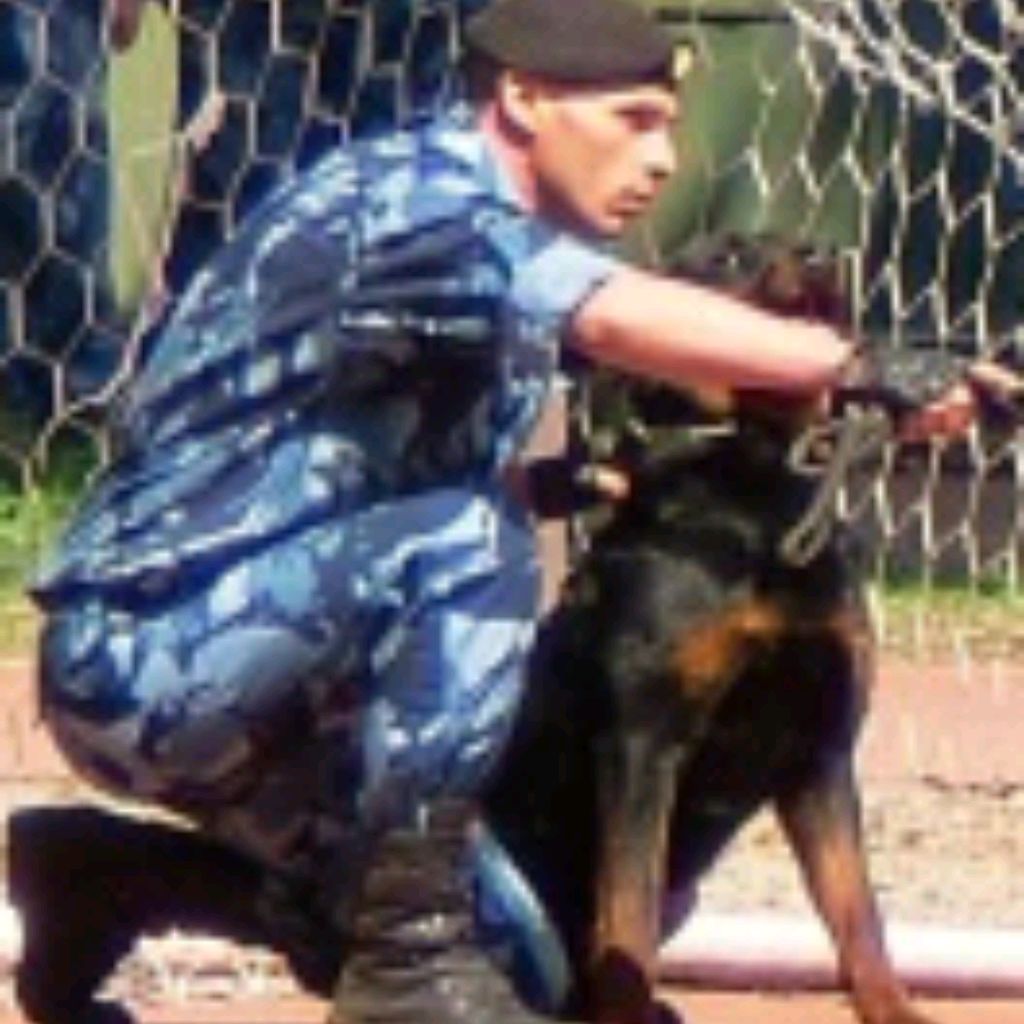 Андрей kinolog !