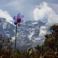 Пратибха  प्रतिभा Аватар автора