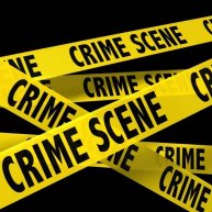 Сериал C.S.I. Место преступления / CSI: Crime Scene Investigation Аватар автора