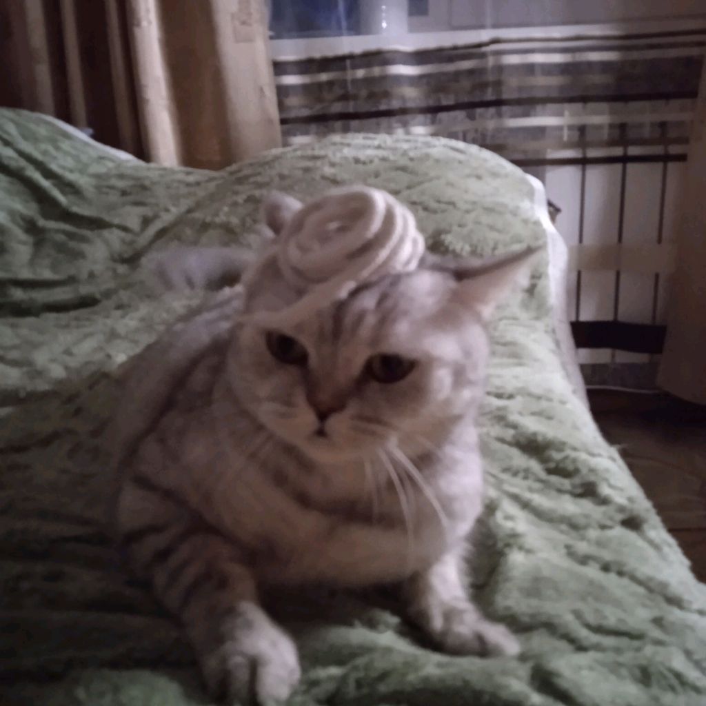 Аватар автора