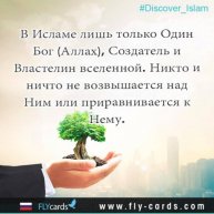🔴 Я мусульманин 🔵 ✋🏻 Аватар автора