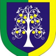 ДШИ № 1 г. Энгельс Аватар автора