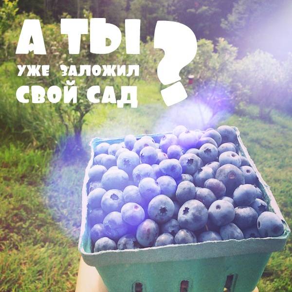 Мои зеленые инвестиции