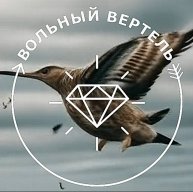 ВОЛЬНЫЙ ВЕРТЕЛЬ Аватар автора