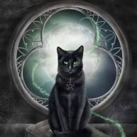 Magicsubliminal Аватар автора