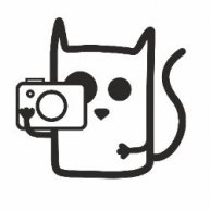 Polar kat Аватар автора