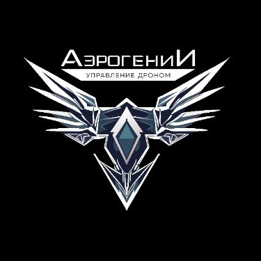 Школа операторов дронов  Аватар автора