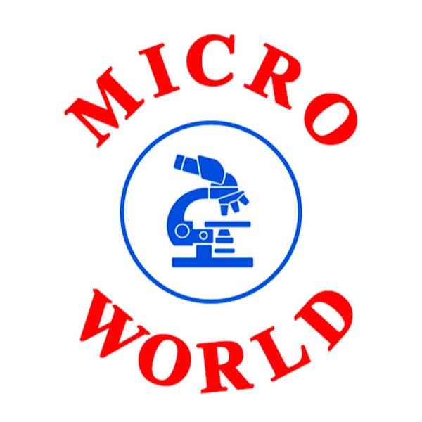 MICRO WORLD Channel Аватар автора