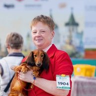 Золотой Родник - таксы Аватар автора