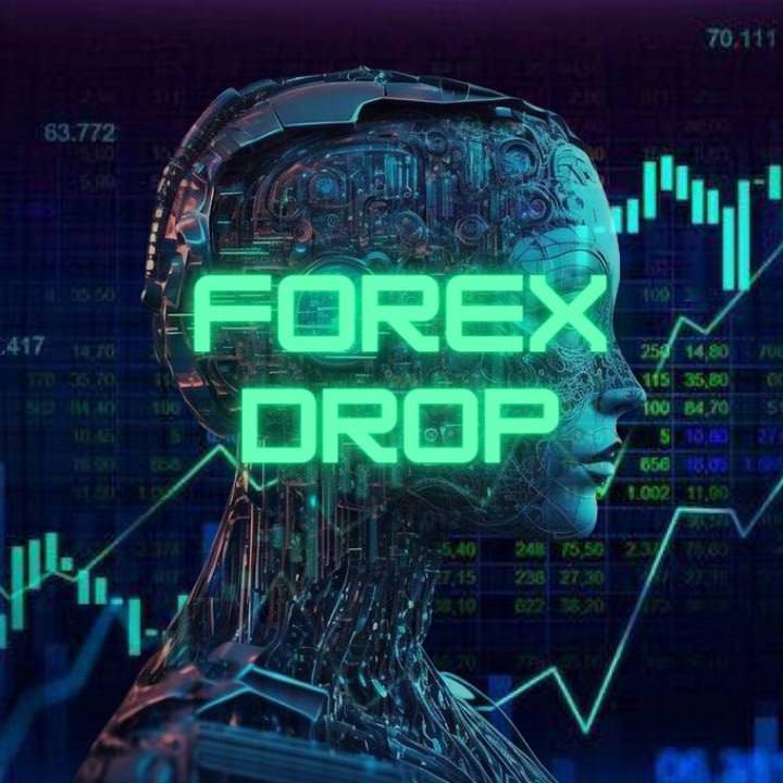Forex Drop Аватар автора