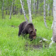 Руслан Аватар автора