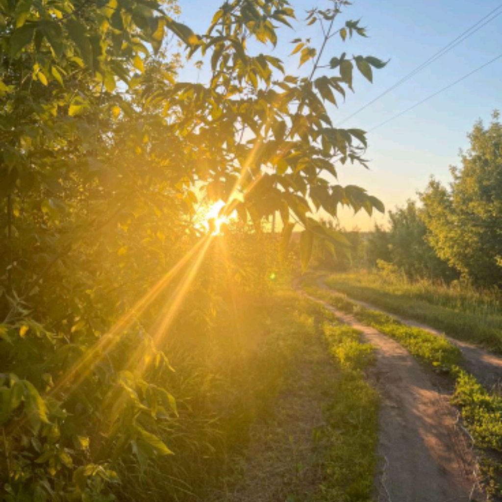 Роман. Аватар автора