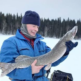 Рыбалка на живца Аватар автора