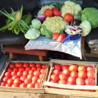 Вкусный Огород Аватар автора