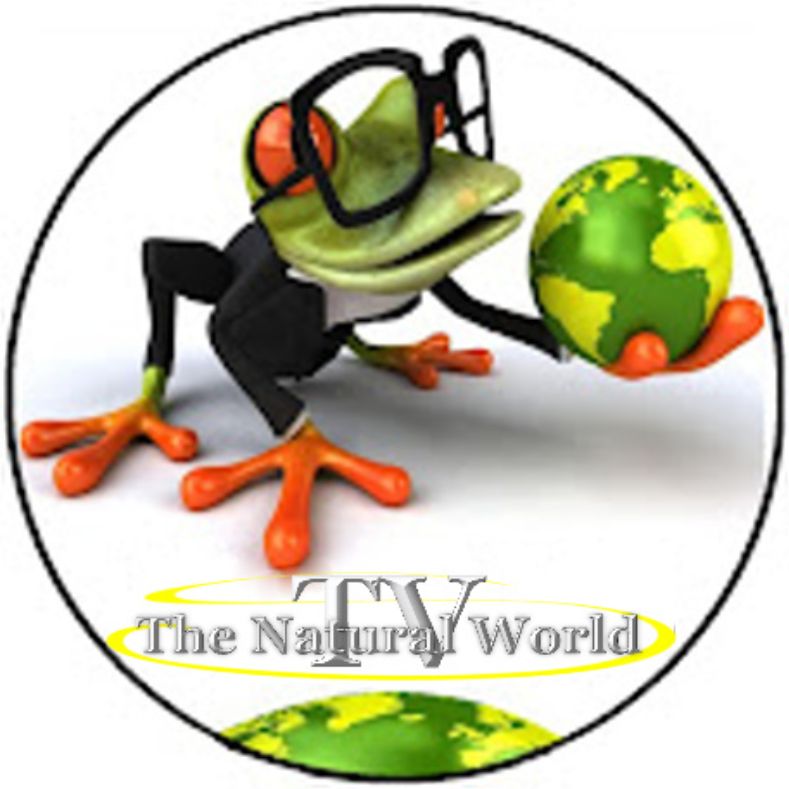 Мир Природы ... 💞💞💞... "Natural World"