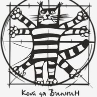 Кот Довинчен Аватар автора