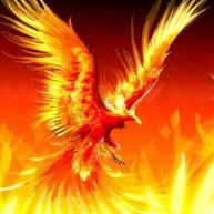 Представительство Fohow - (world-fenix.ru) Аватар автора
