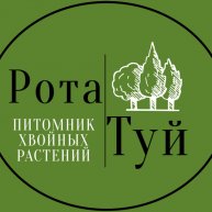 РотаТуй - питомник хвойных растений Аватар автора