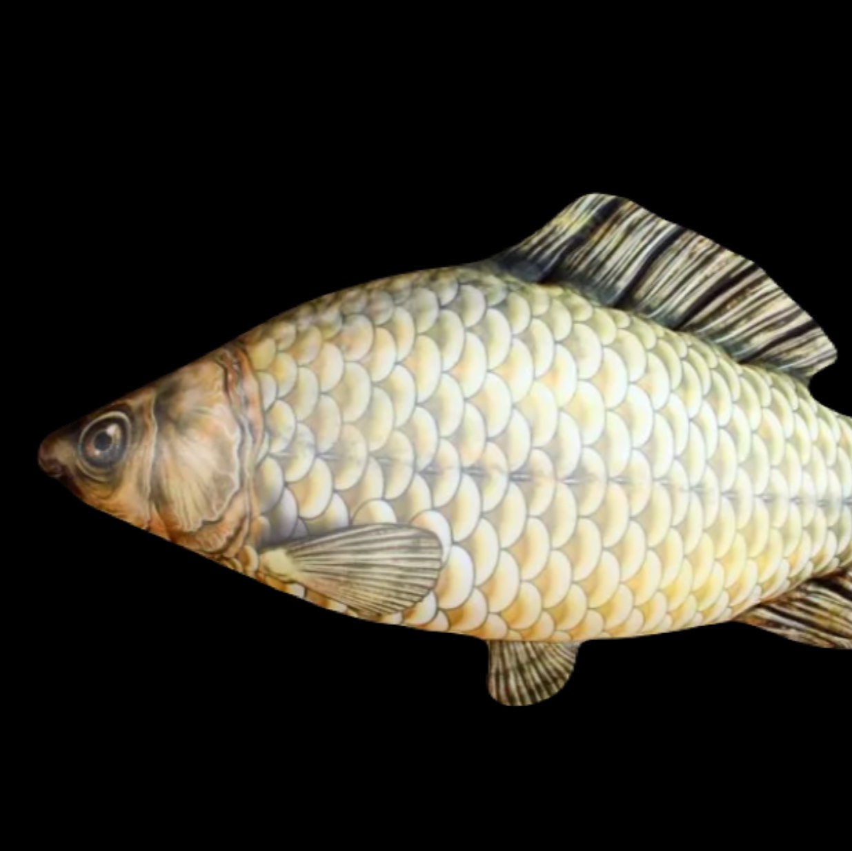 ТЕЛЕКАНАЛ КАРАСЁНОК Аватар автора