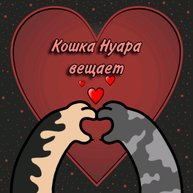 Книжная Котейка Аватар автора