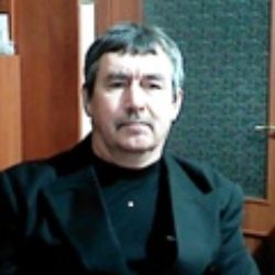 Мускусные утки это чудо птица