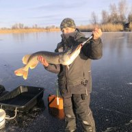 Берегите природу Аватар автора