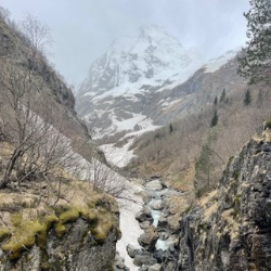 channel39255108 Аватар автора