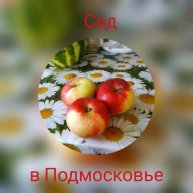 Сад в Подмосковье, Александр Аватар автора