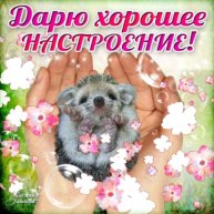Хранитель хорошего настроения Аватар автора