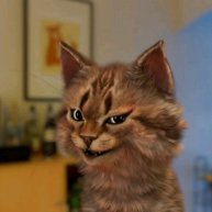КОТЕНОК ПОДПИСКА Аватар автора