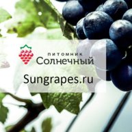 Питомник  Аватар автора