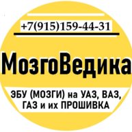 МозгоВедика Аватар автора