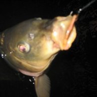 VASYA_DAVYDOV_FISHING Аватар автора