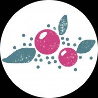 Pteat.ru Аватар автора