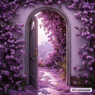 DoorPurple Аватар автора